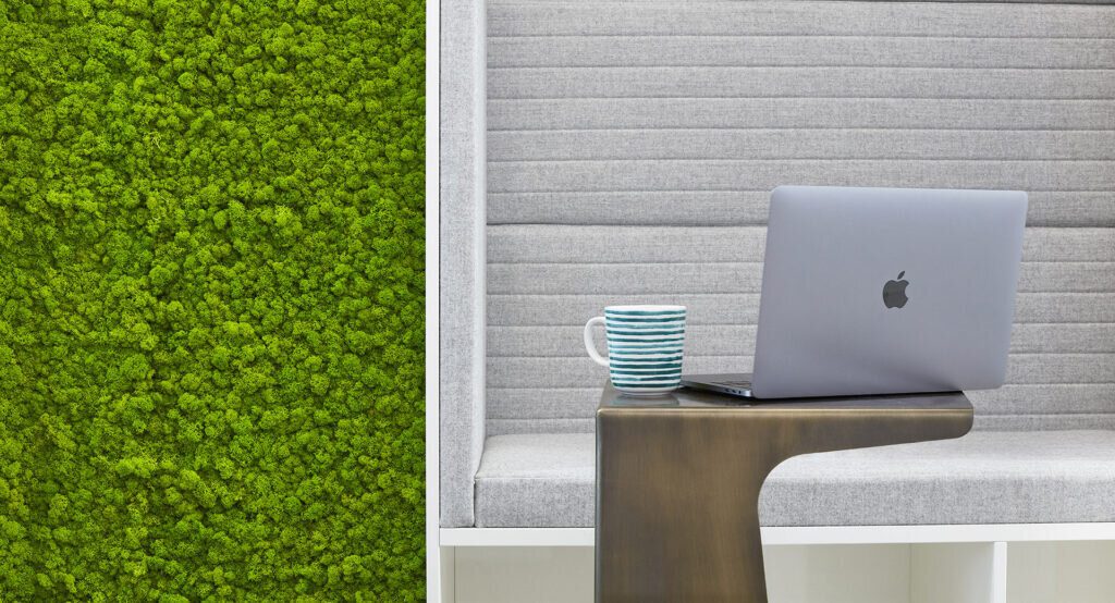 Insights - Paramount D&B