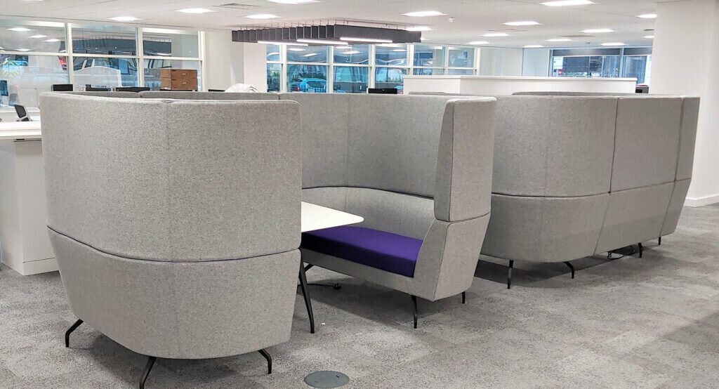 Insights - Paramount D&B